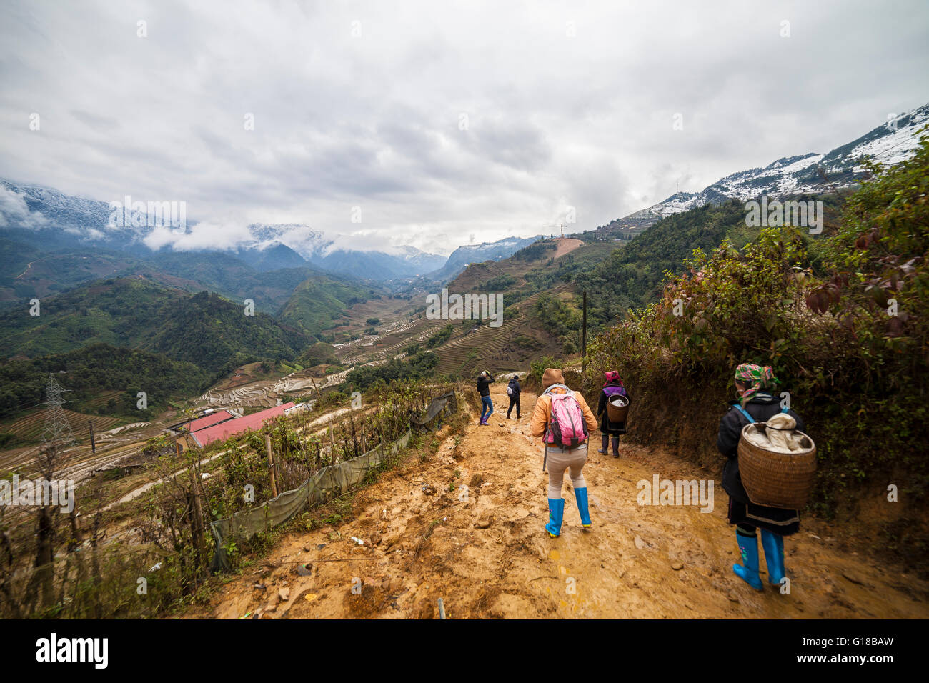 Vietnam landscape rice field hi-res stock photography and images - Alamy