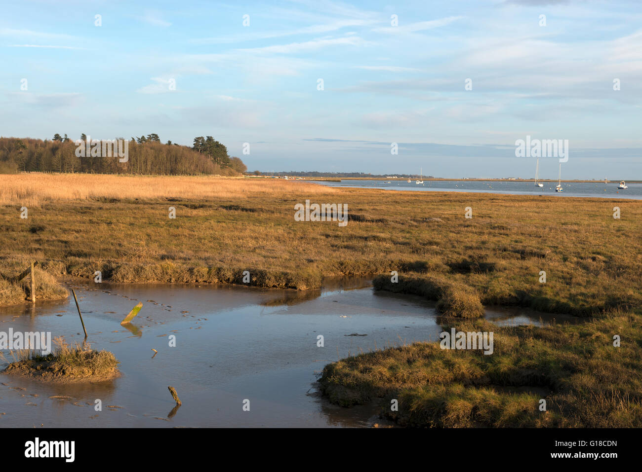 Ramsholt suffolk england hi-res stock photography and images - Alamy