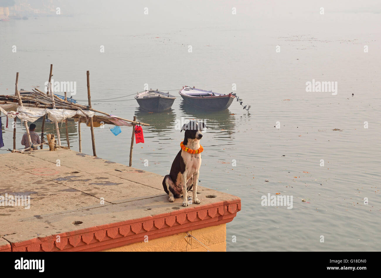 The holy river ghats of Varanasi, full with their colorful religious ...