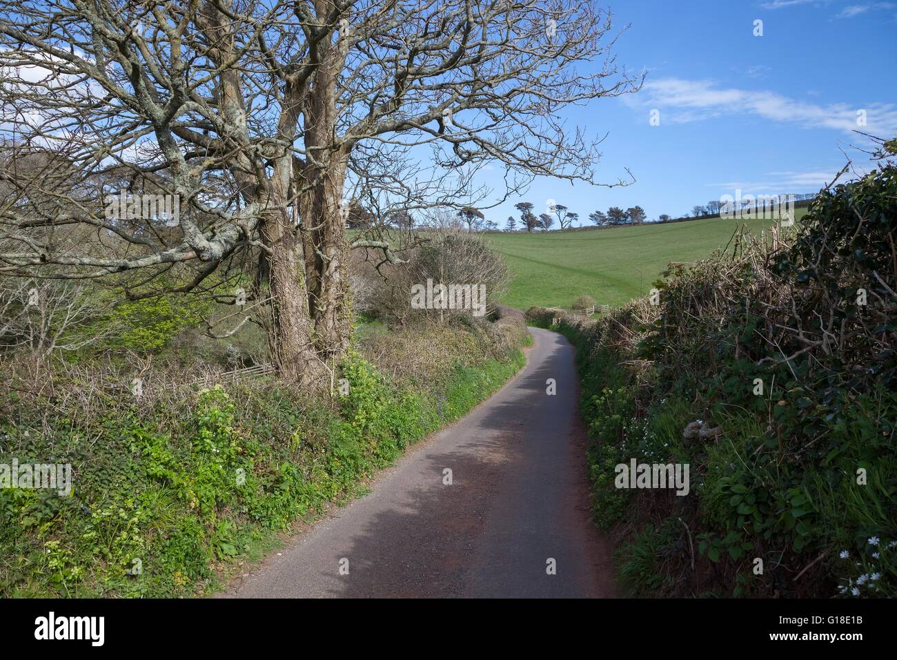 Lane cove hi-res stock photography and images - Alamy