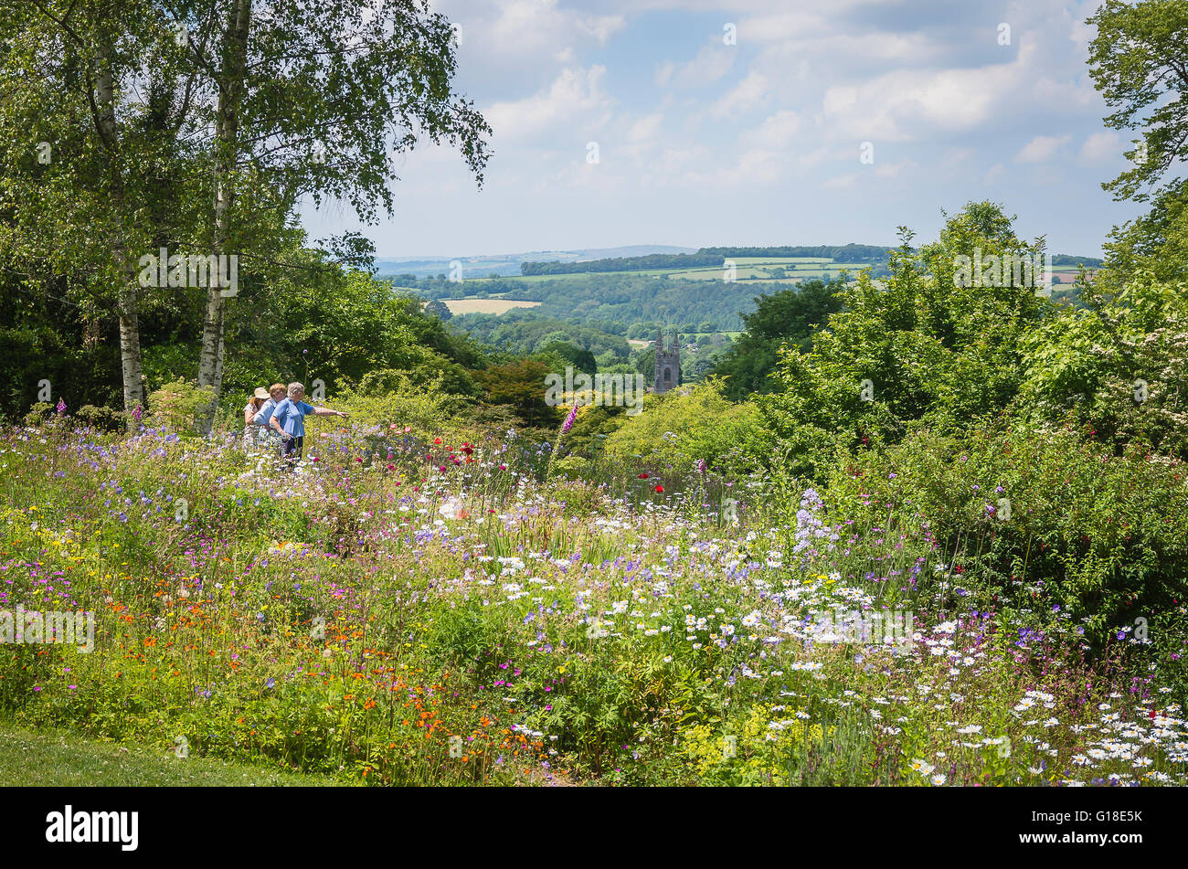 Pretty wild flowers hi-res stock photography and images - Alamy