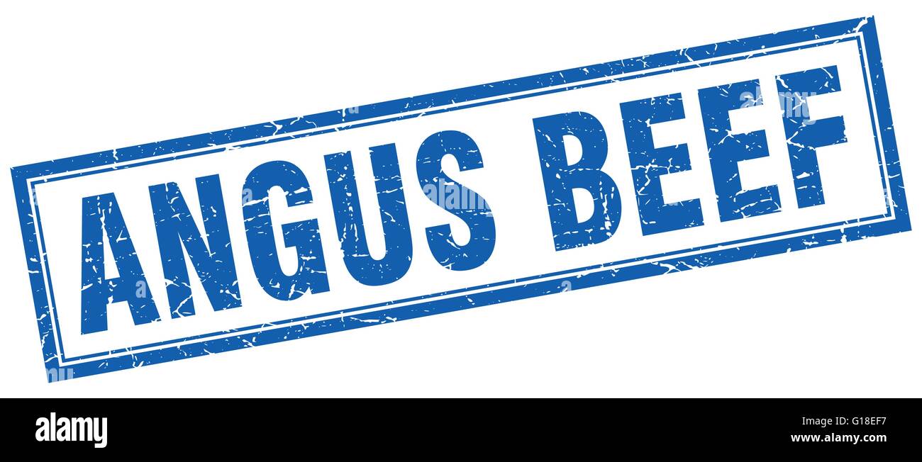 angus beef blue grunge square stamp on white Stock Vector Image & Art ...