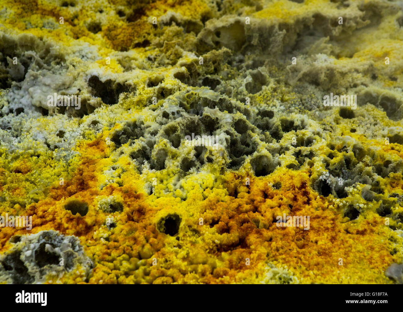 The colorful potassium salt crust formed by hot springs in the danakil ...