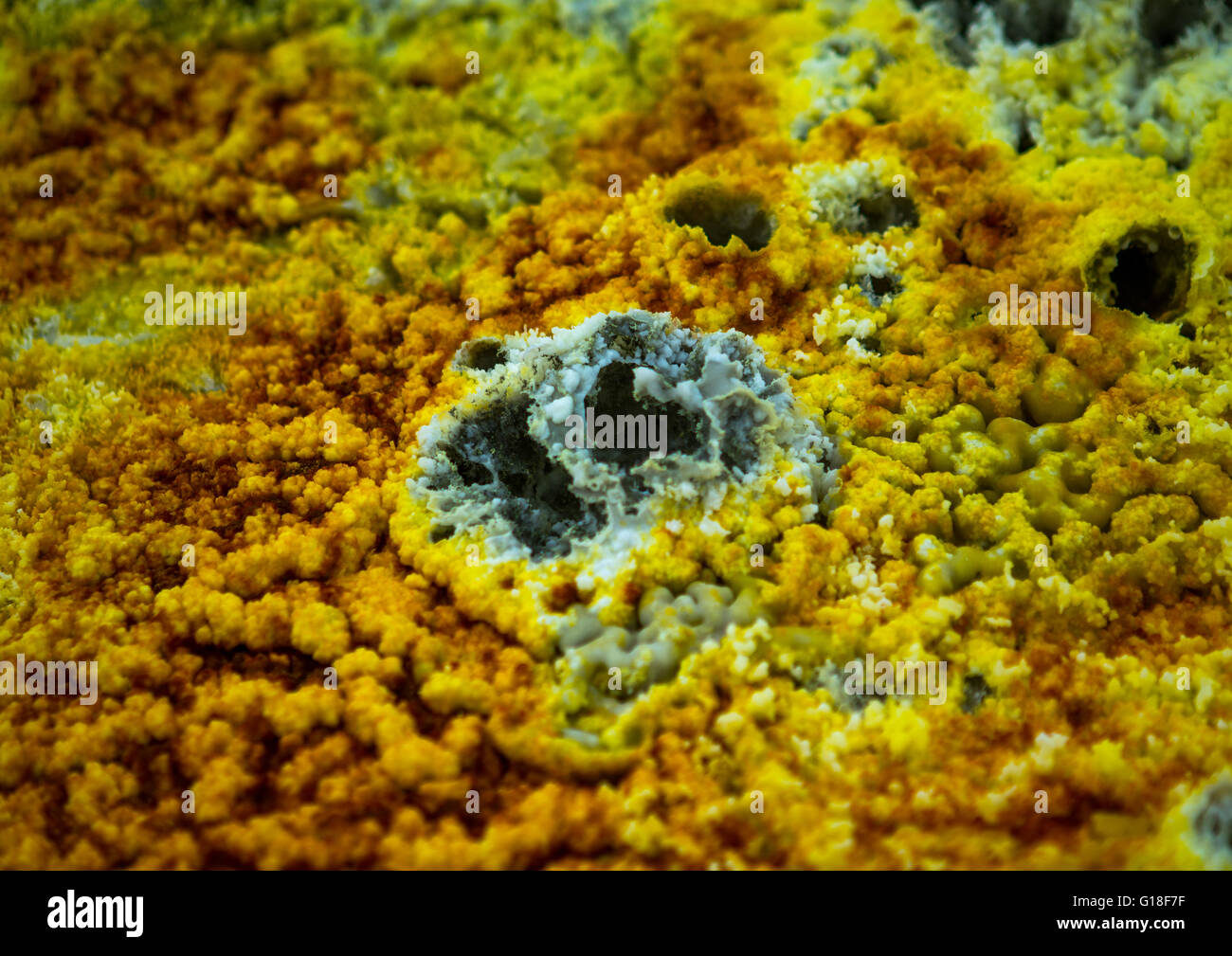 The colorful potassium salt crust formed by hot springs in the danakil ...