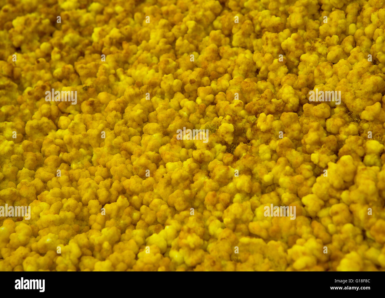 The colorful potassium salt crust formed by hot springs in the danakil ...