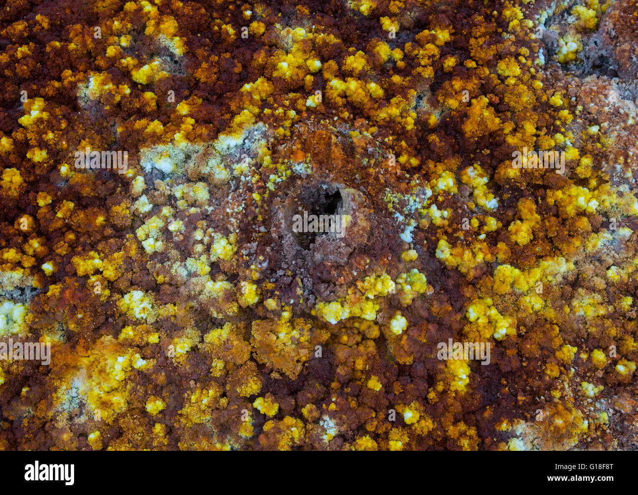 The colorful potassium salt crust formed by hot springs in the danakil ...