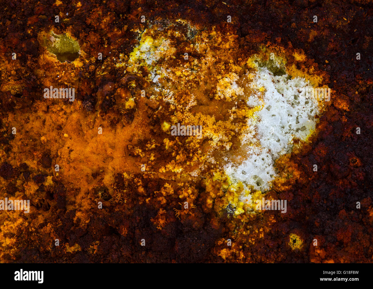 The colorful potassium salt crust formed by hot springs in the danakil ...