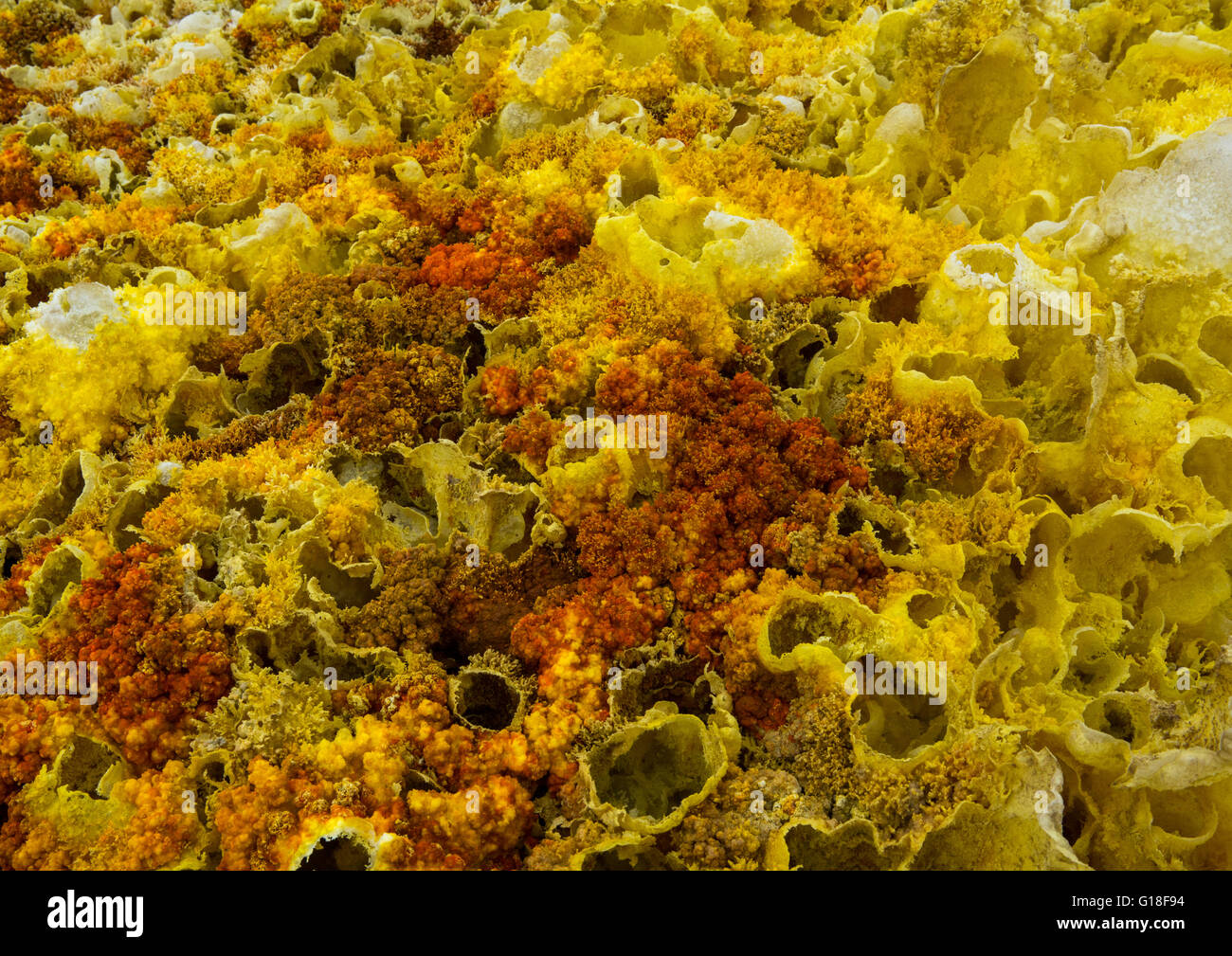 The colorful potassium salt crust formed by hot springs in the danakil ...
