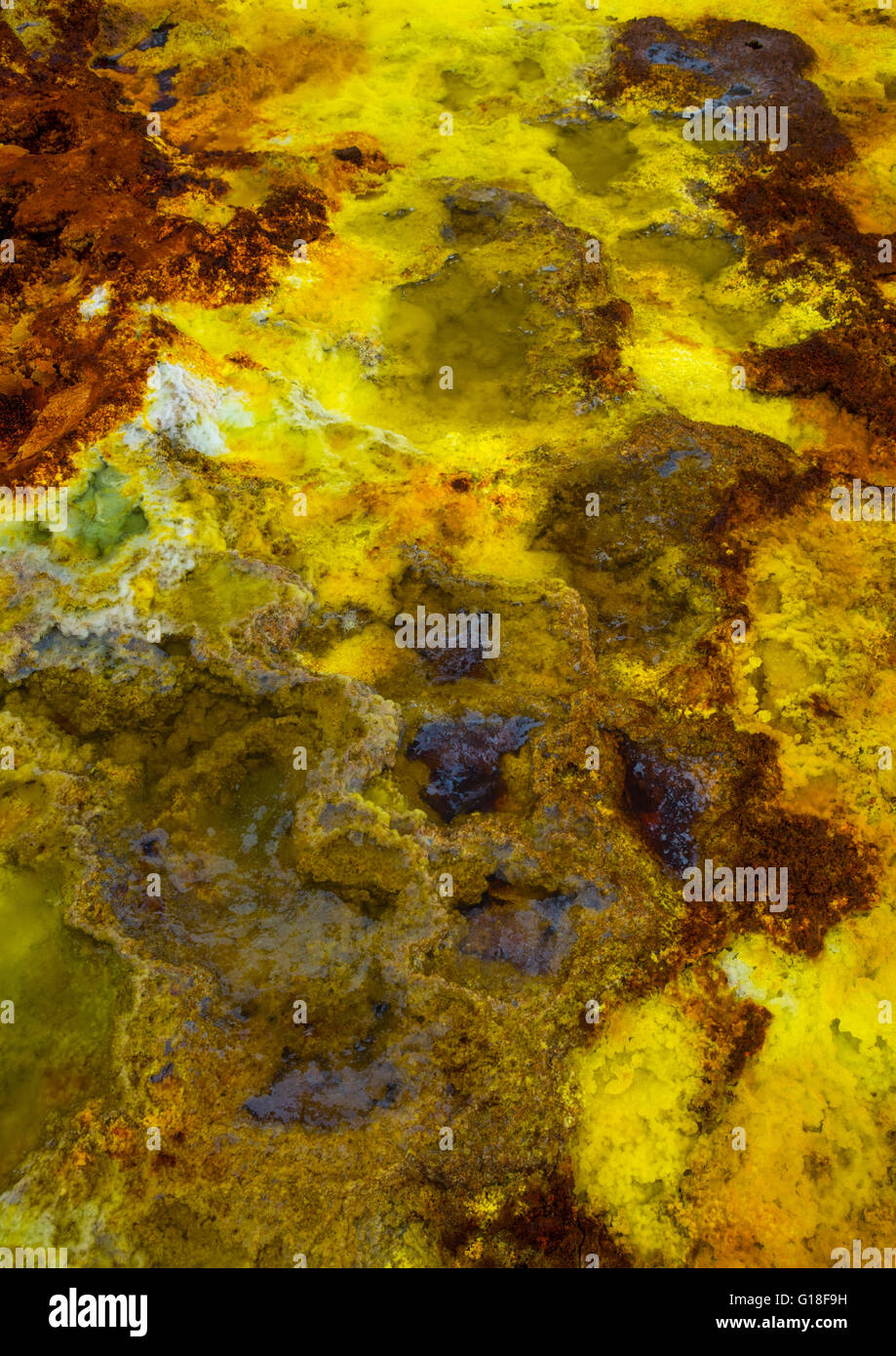 The colorful potassium salt crust formed by hot springs in the danakil ...
