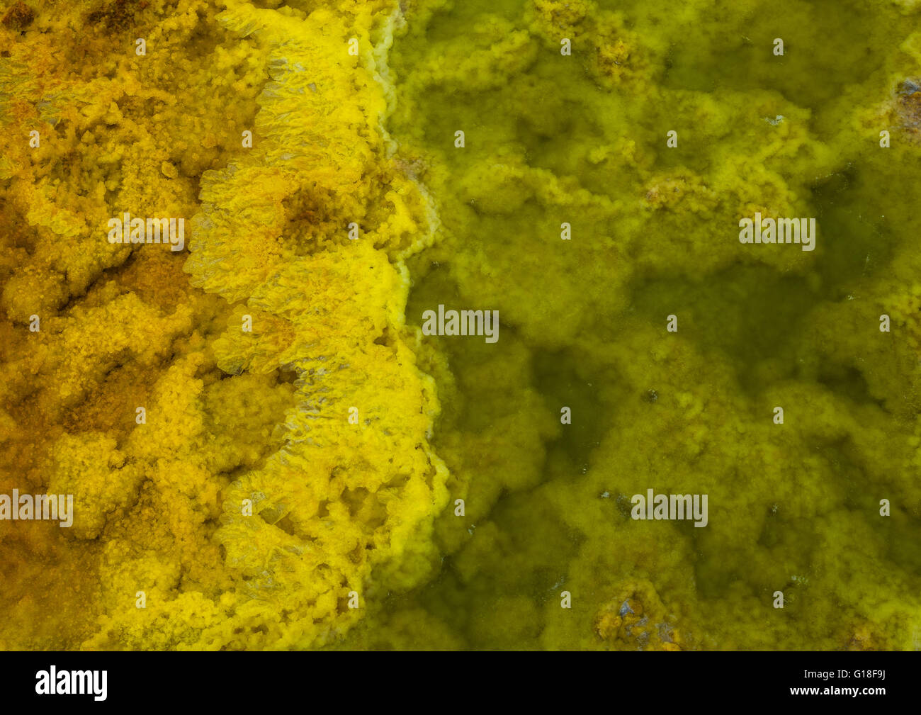 The colorful potassium salt crust formed by hot springs in the danakil ...