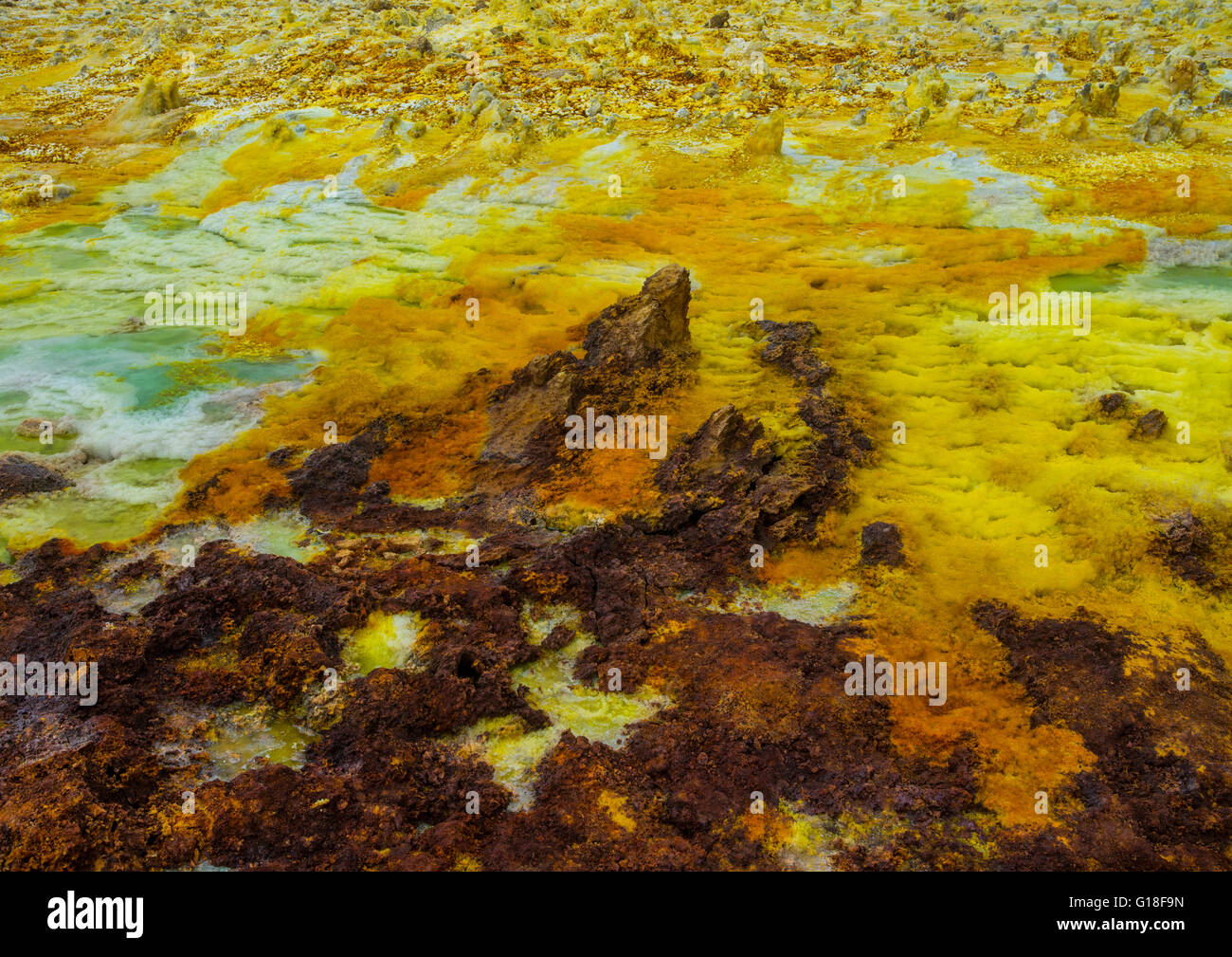 The colorful potassium salt crust formed by hot springs in the danakil ...