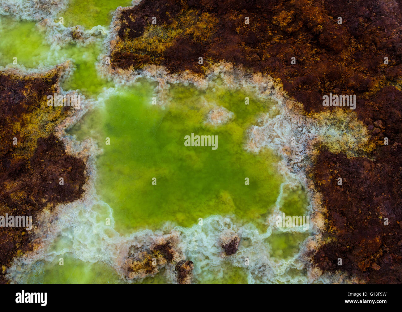 The colorful potassium salt crust formed by hot springs in the danakil ...