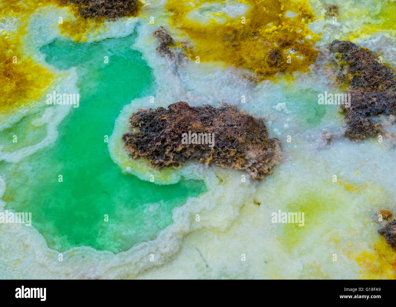 The colorful potassium salt crust formed by hot springs in the danakil ...