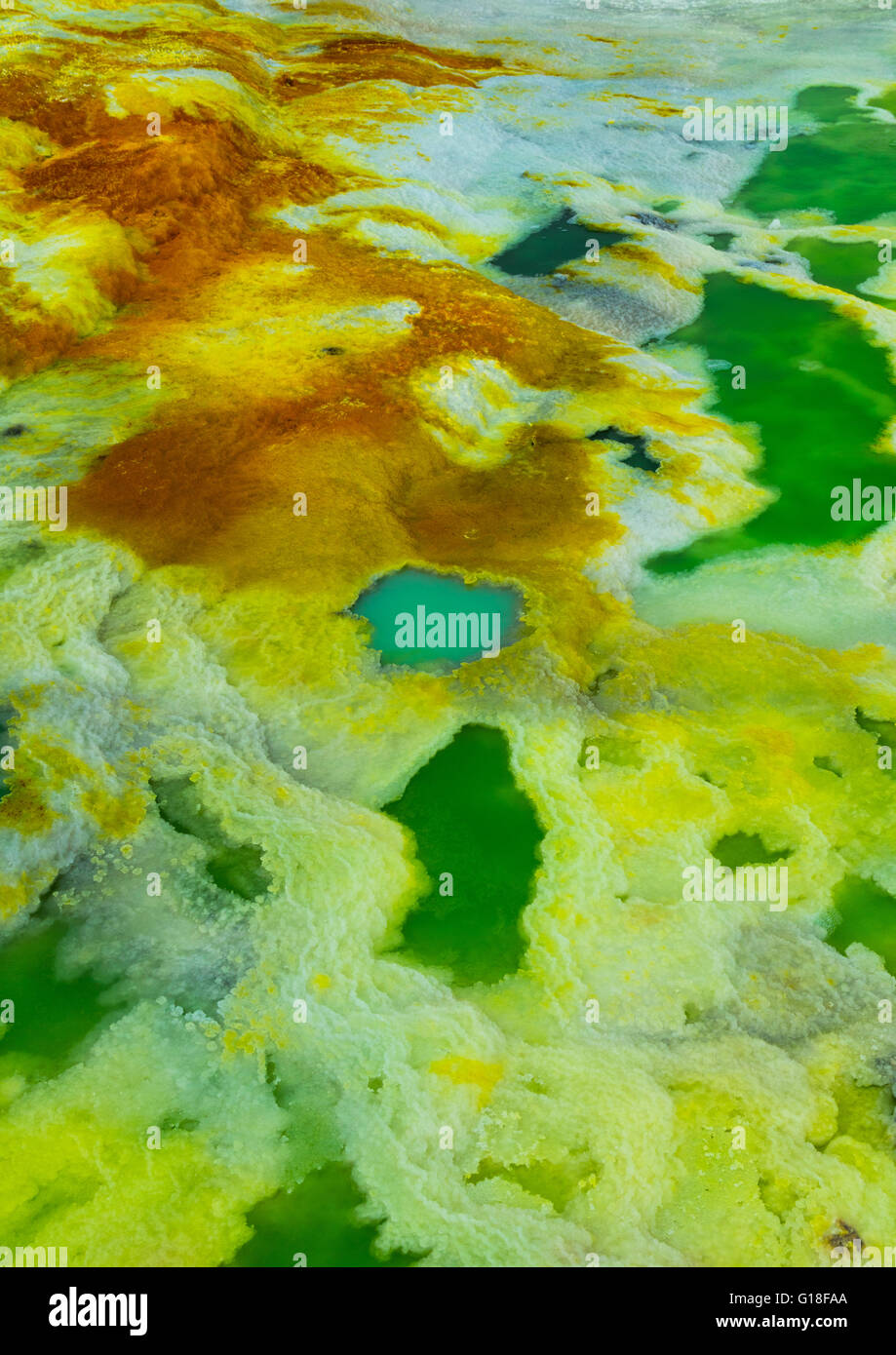 The colorful potassium salt crust formed by hot springs in the danakil ...