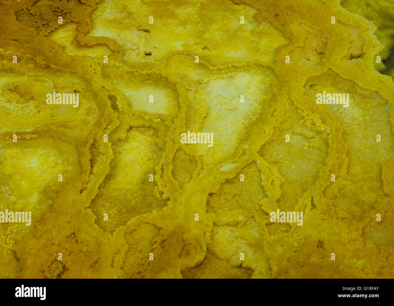 The colorful potassium salt crust formed by hot springs in the danakil ...