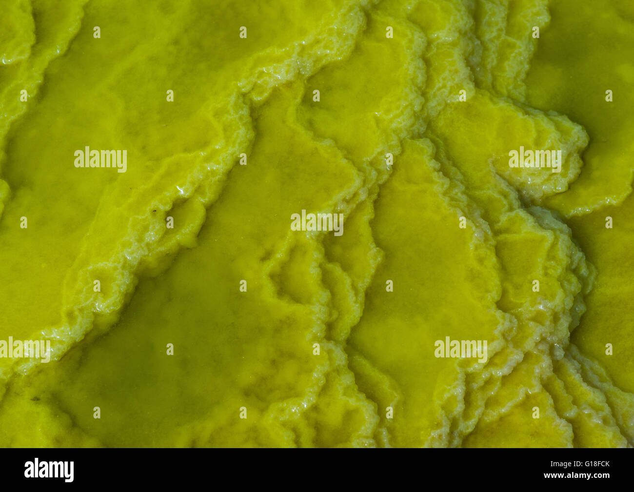 The colorful potassium salt crust formed by brine hot springs in the ...