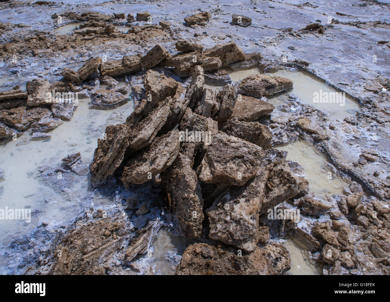 Salt blocks ready for transport in a salt mine of the danakil ...