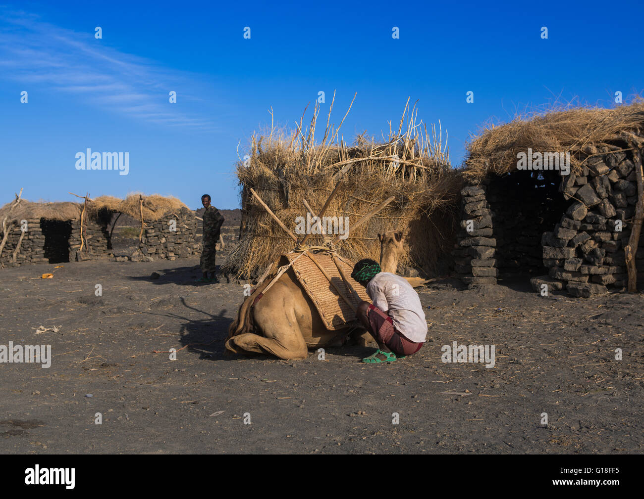 Afar tribe men loading a camel in front of a hut before climbing to ...