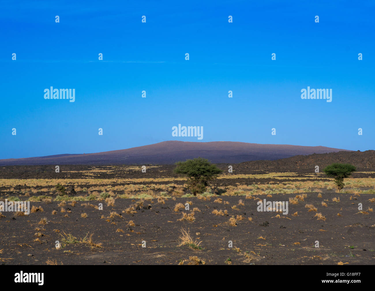 Erta ale volcano seen from the plain, Afar region, Erta ale, Ethiopia ...