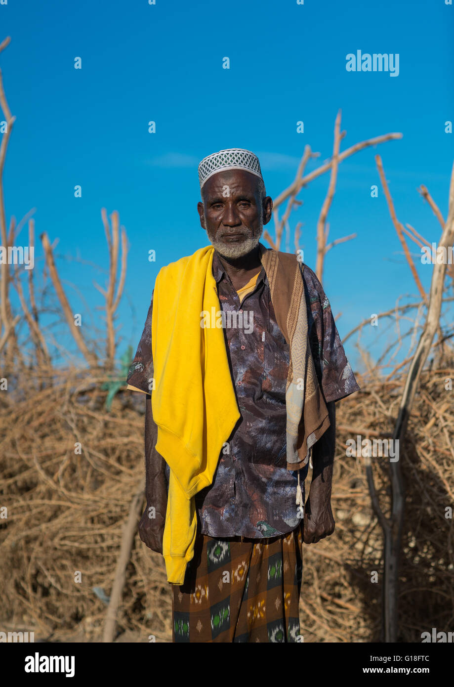 Portrait of an afar tribe elder, Afar region, Afambo, Ethiopia Stock ...