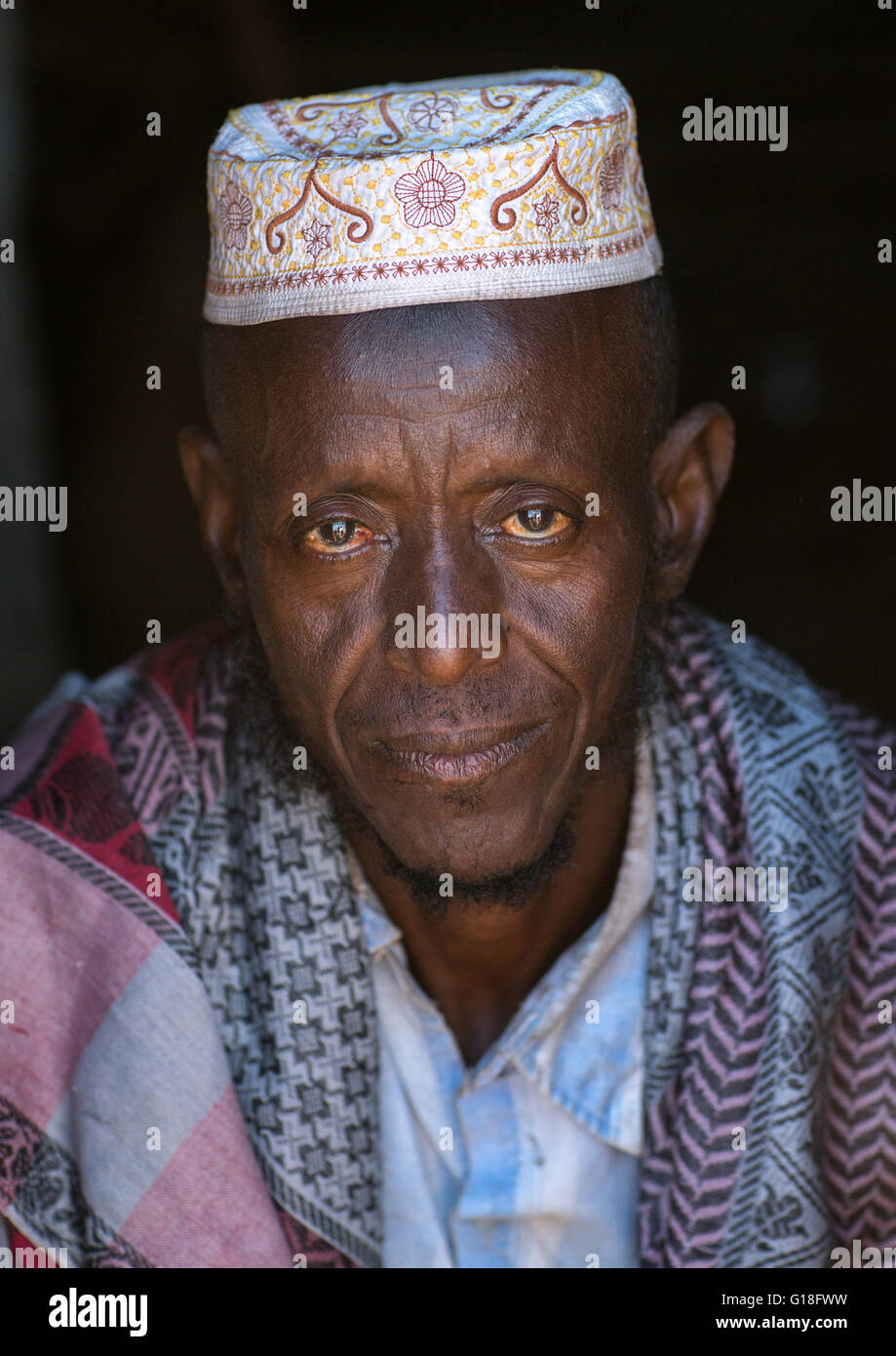 Portrait of an afar tribe elder, Afar region, Assayta, Ethiopia Stock ...