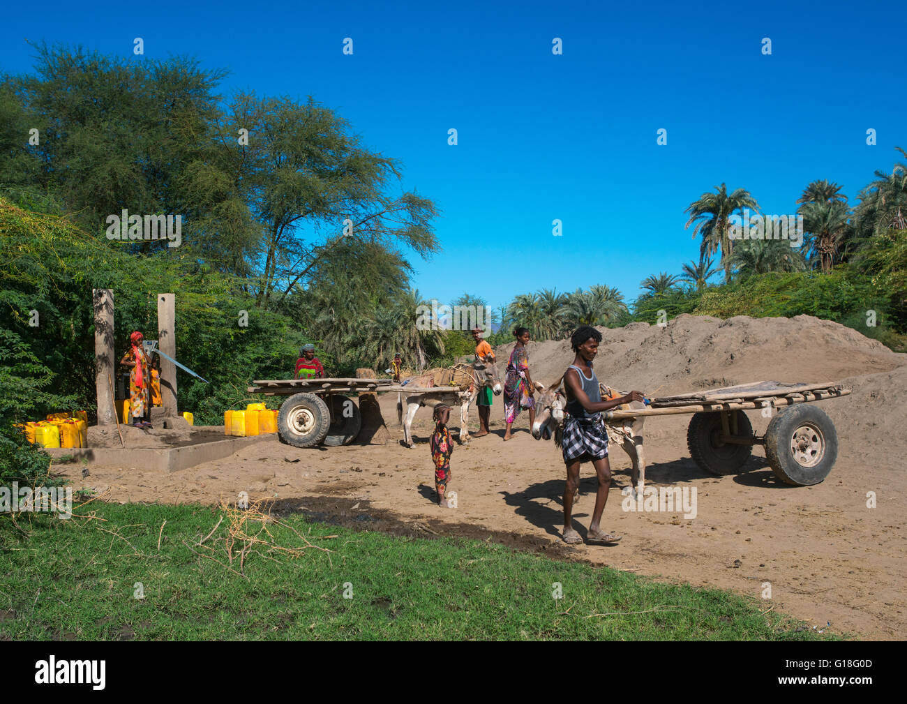 Afar tribe people taking water in a well, Afar region, Afambo, Ethiopia ...