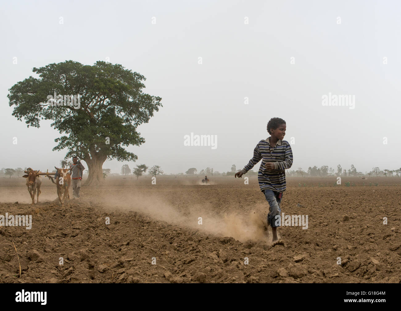 Boy running in a dry field, Kembata, Alaba kuito, Ethiopia Stock Photo ...