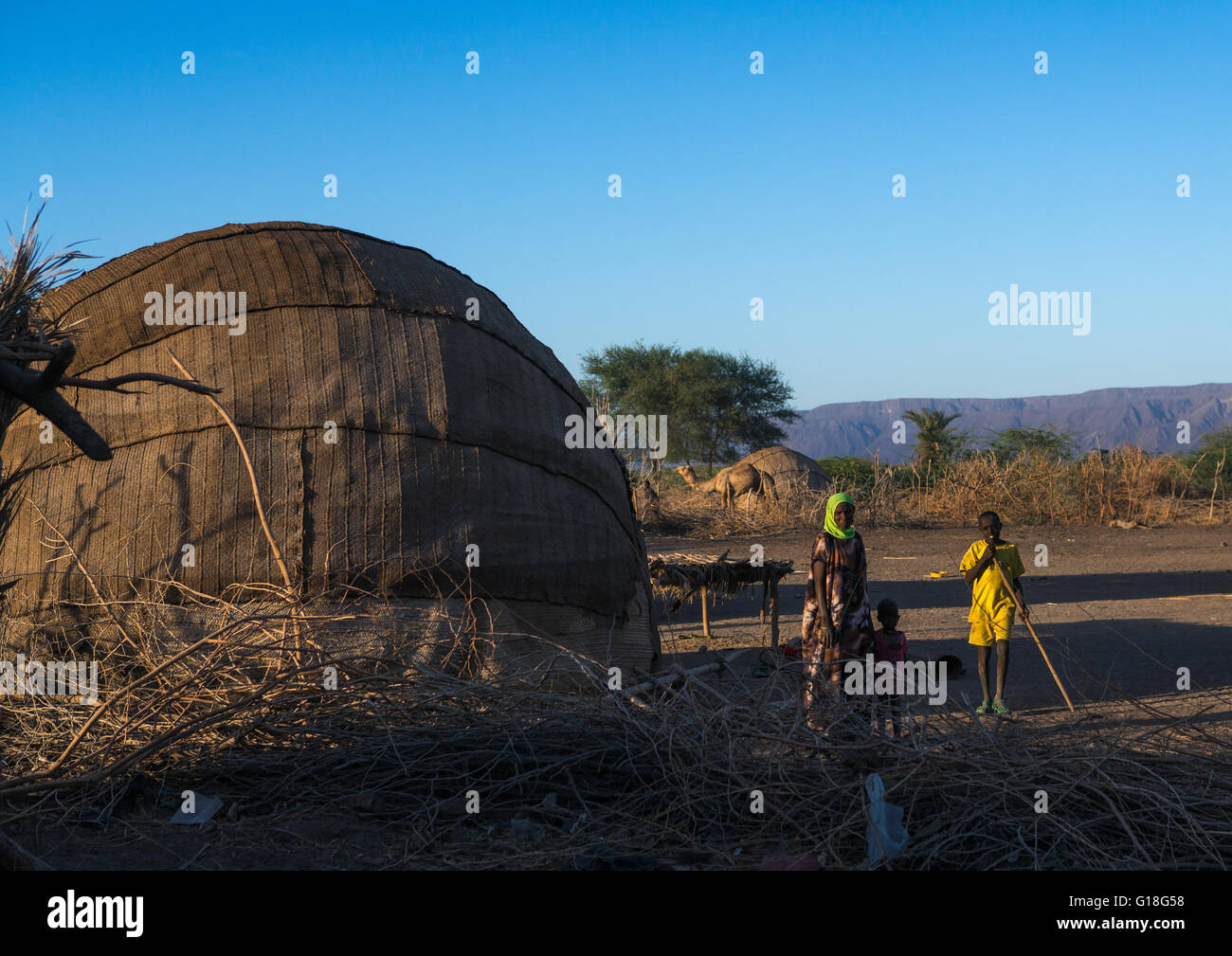 Afar tribe people in front of their oval-shaped hut, Afar region ...