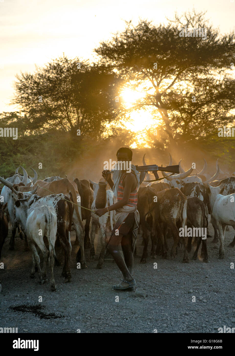 Afar nomad with kalashnikov hi-res stock photography and images - Alamy