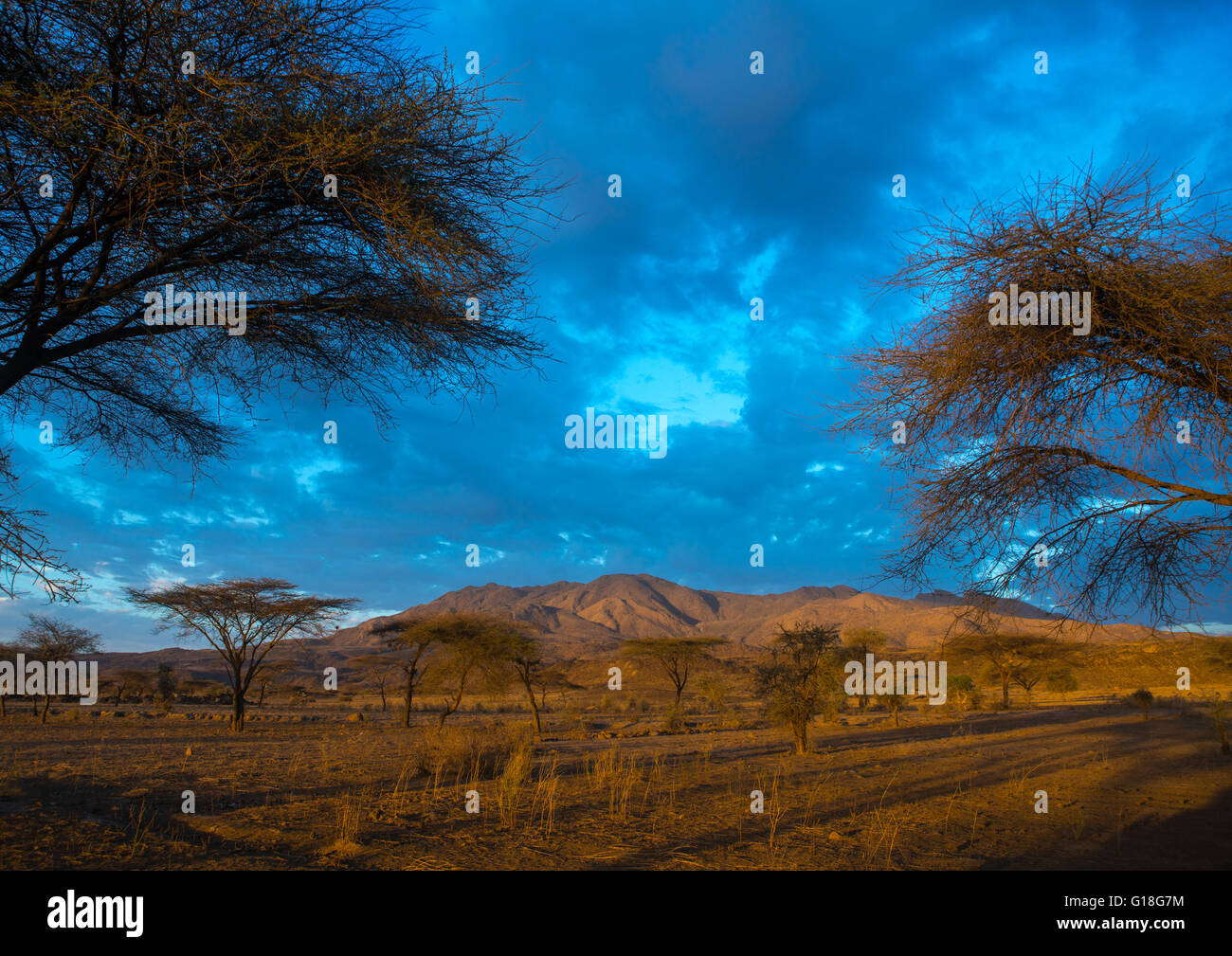 Acacias trees in ethiopia hi-res stock photography and images - Alamy