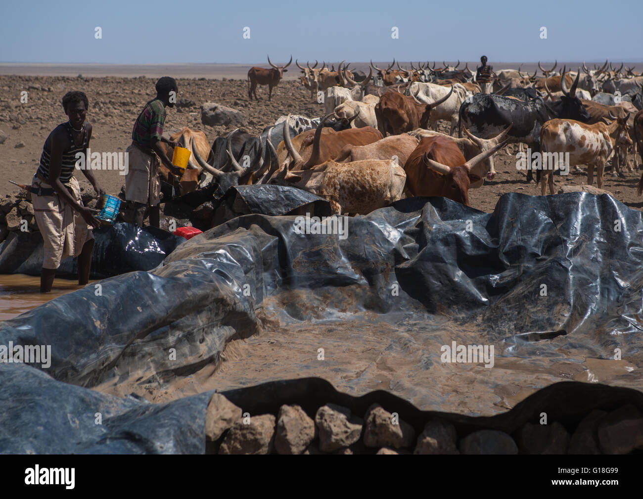 Somali people collecting water in a tank in the desert, Afar region ...