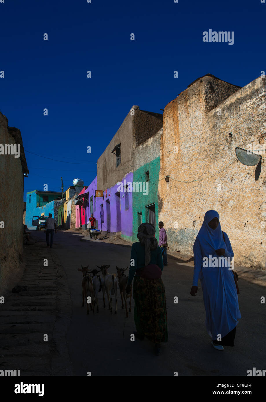 Multicoloured houses in the old town, Harari region, Harar, Ethiopia ...