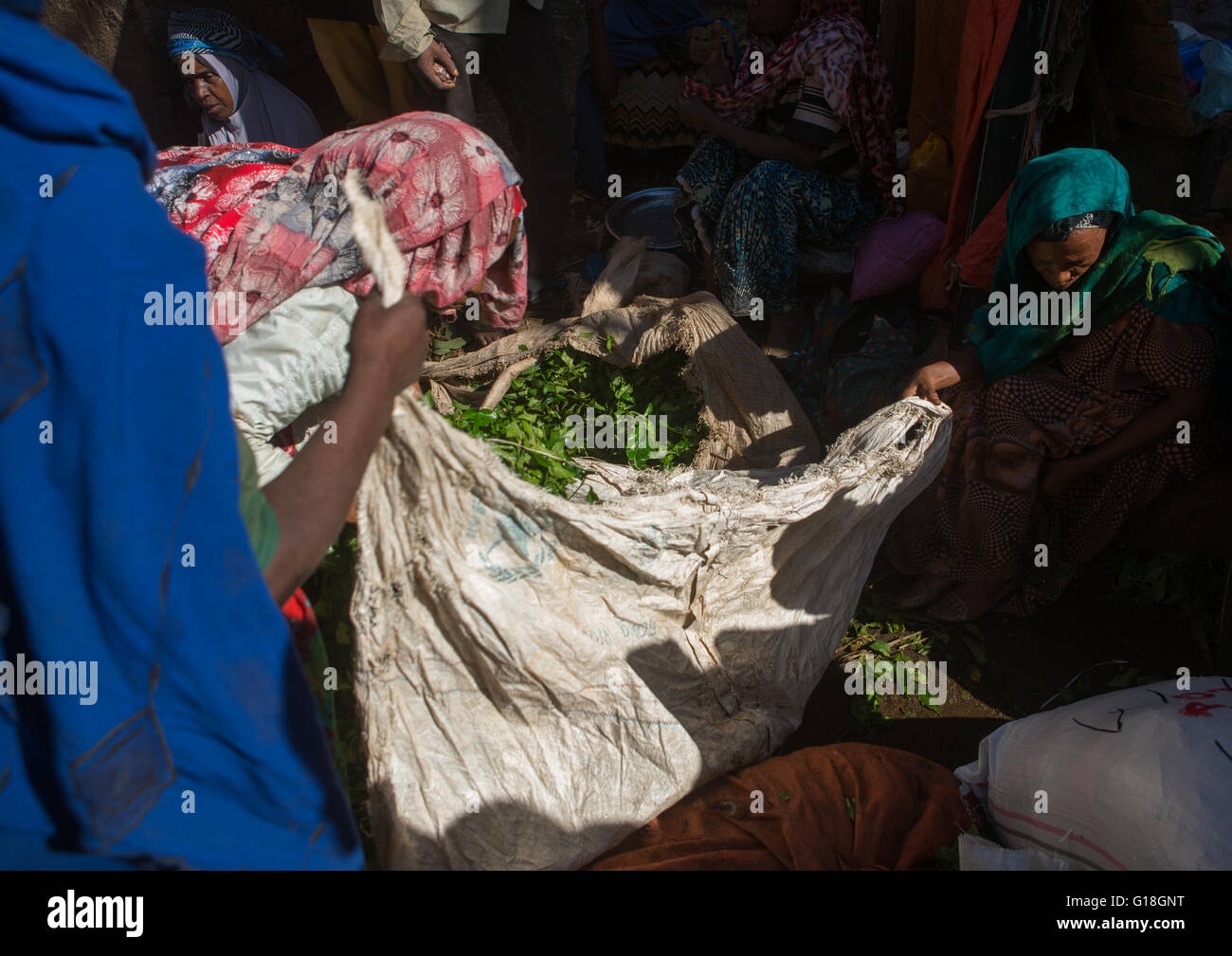 Women selling khat in the market near harar, Harari region, Awaday ...