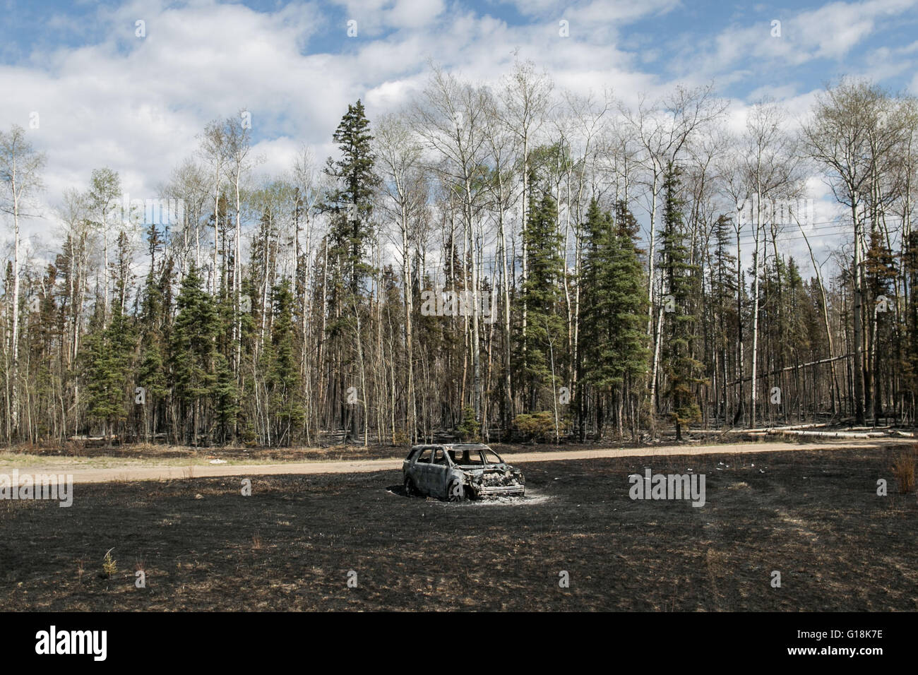 Fort McMurray, Canada. 11th May, 2016. Burnt forests are seen in Fort ...
