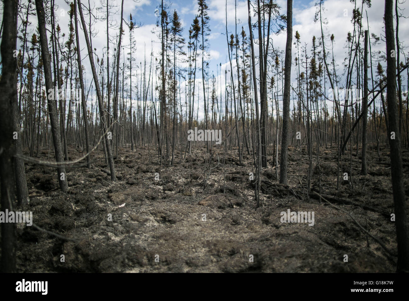 Fort mcmurray alberta wildfire hi-res stock photography and images - Alamy