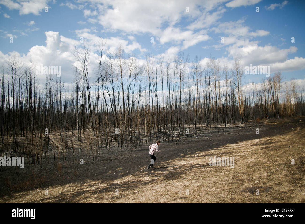 Fort mcmurray alberta wildfire hi-res stock photography and images - Alamy