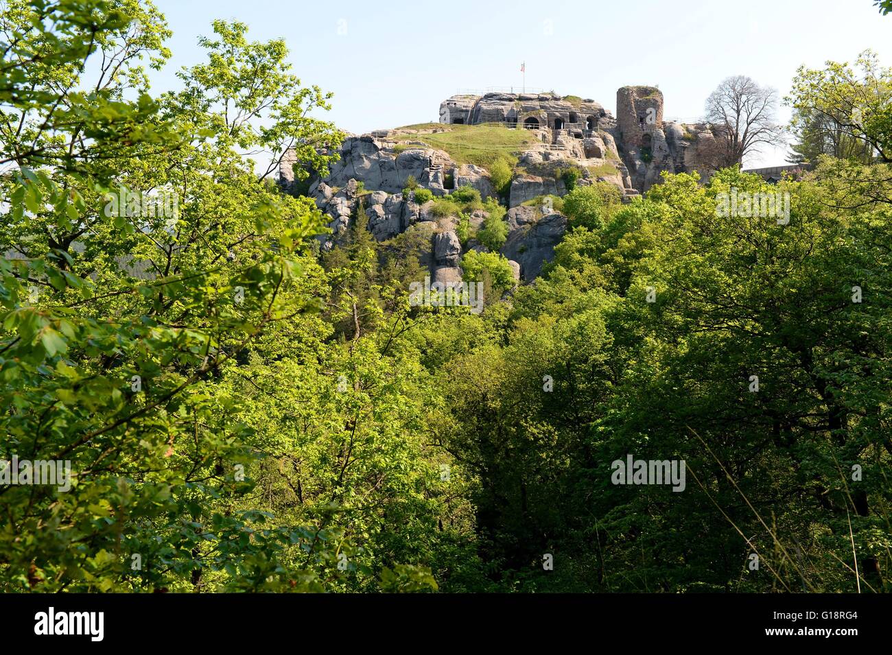 Regenstein Castle (German: Burg Regenstein), a popular tourist ...