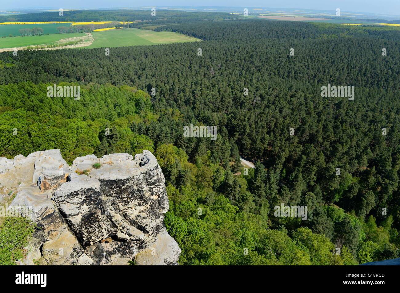 Regenstein Castle (German: Burg Regenstein), a popular tourist ...