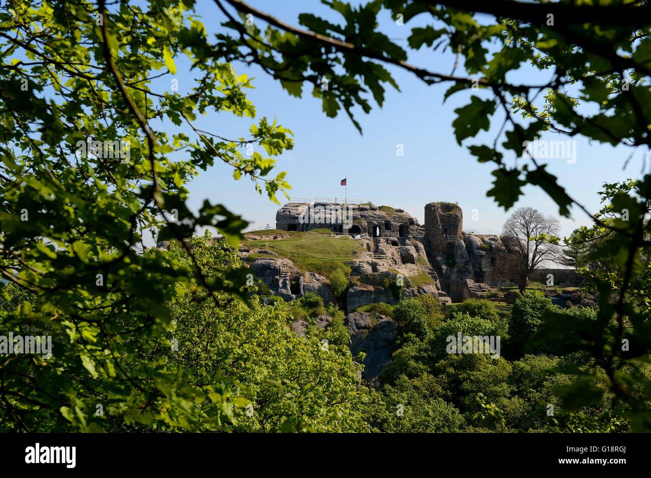 Regenstein Castle (German: Burg Regenstein), a popular tourist ...