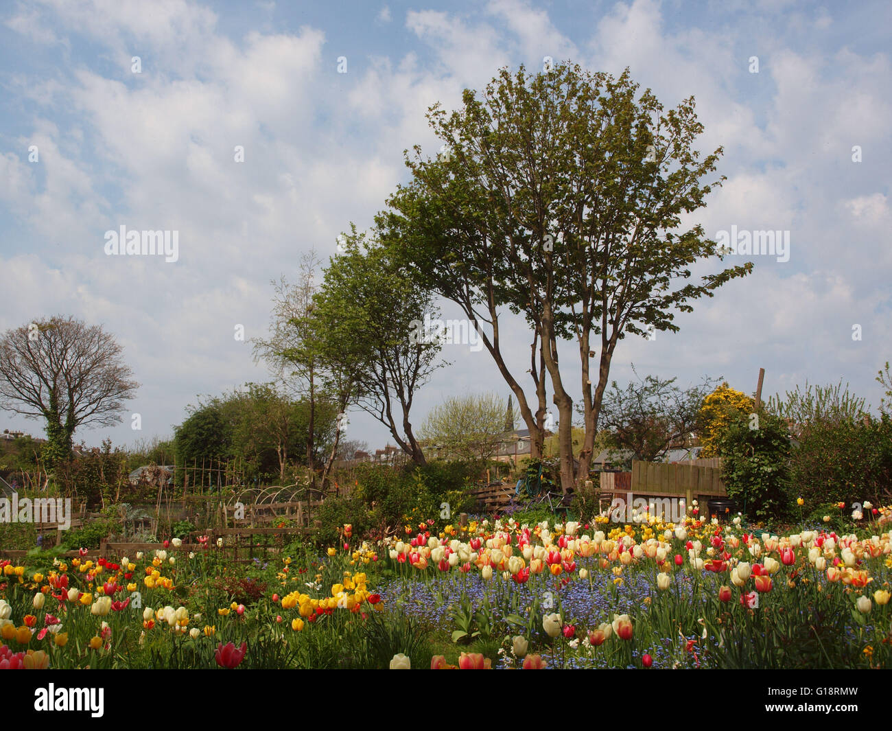 Newcastle upon tyne countryside hi-res stock photography and images - Alamy