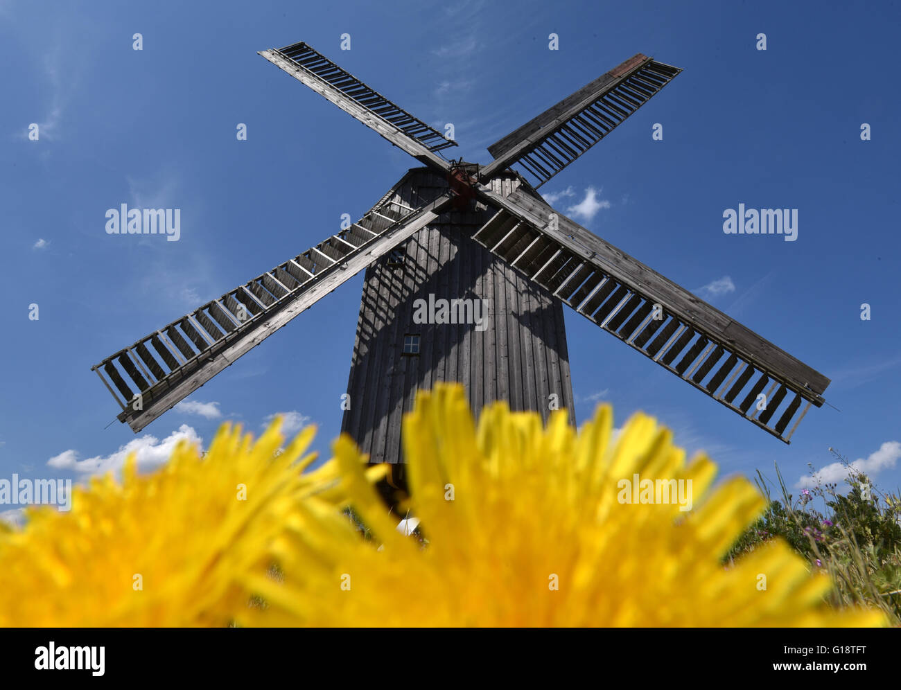 Beelitz, Germany. 11th May, 2016. Exterior view of the Bock windmill ...