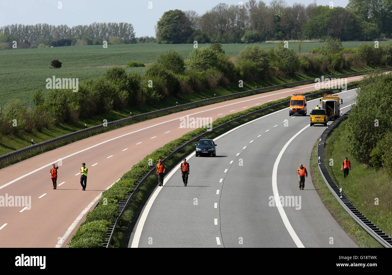 Staff of the road maintenance authority conduct a driven hunt along a ...