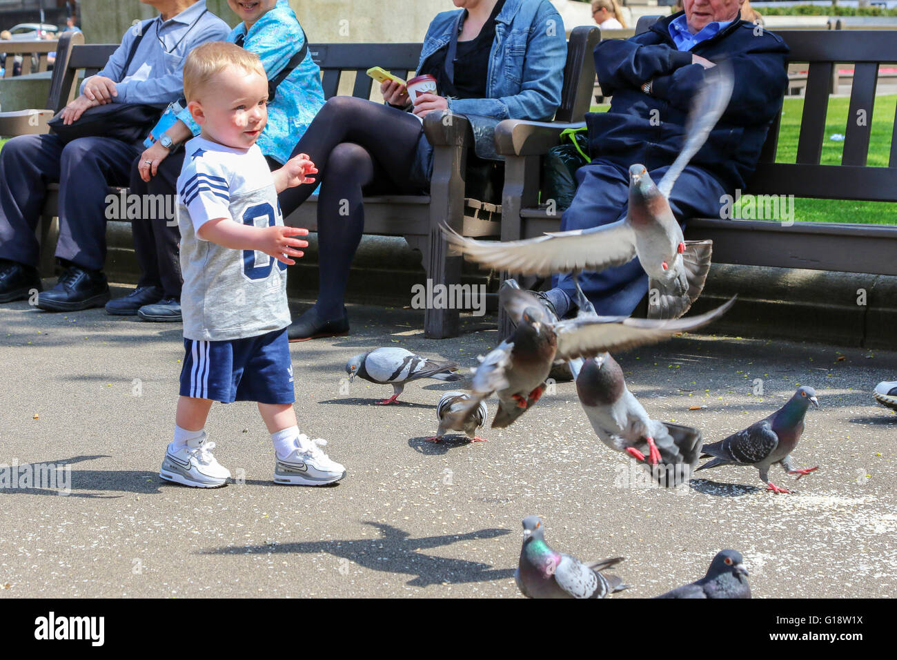 Boy chasing bird hi-res stock photography and images - Alamy