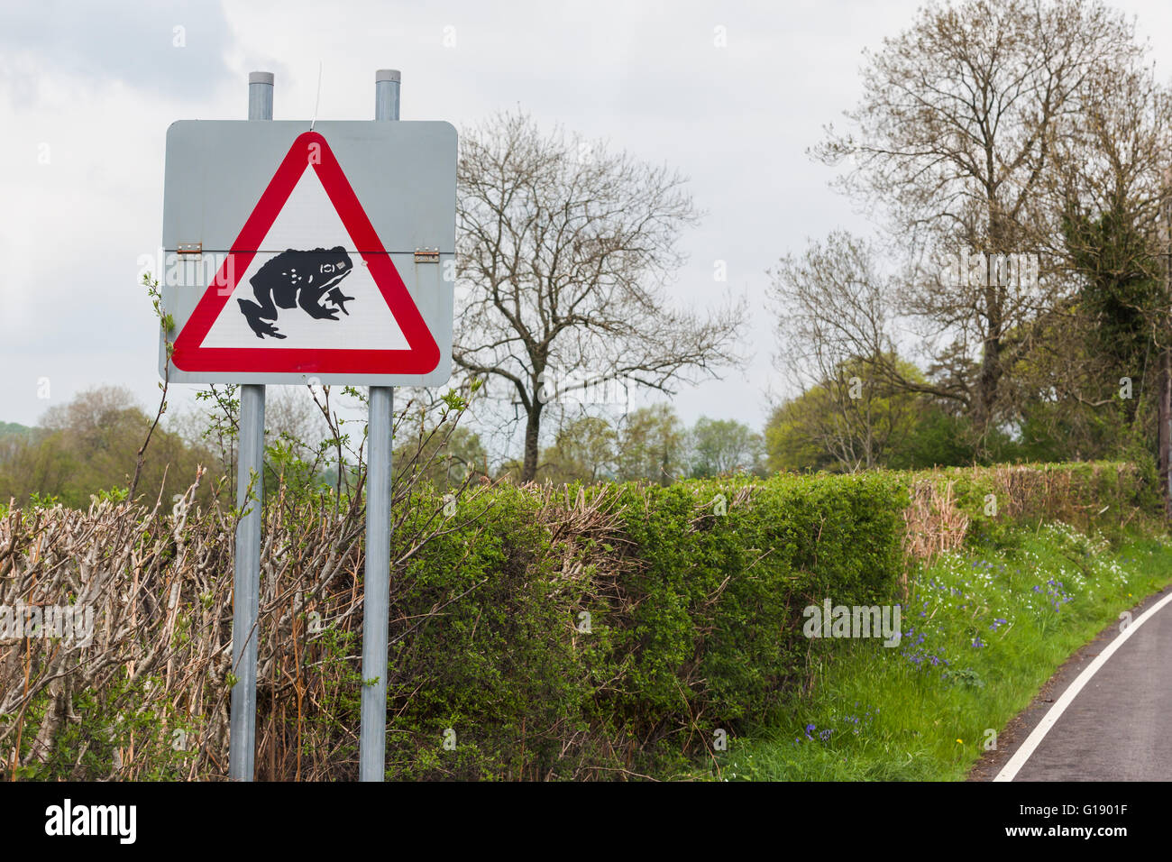 A Toad warning sign along the B4343 informing motorists to drive ...