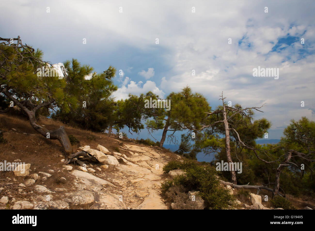 On the Aphrodite Trail, Akámas Peninsula, Cyprus Stock Photo - Alamy