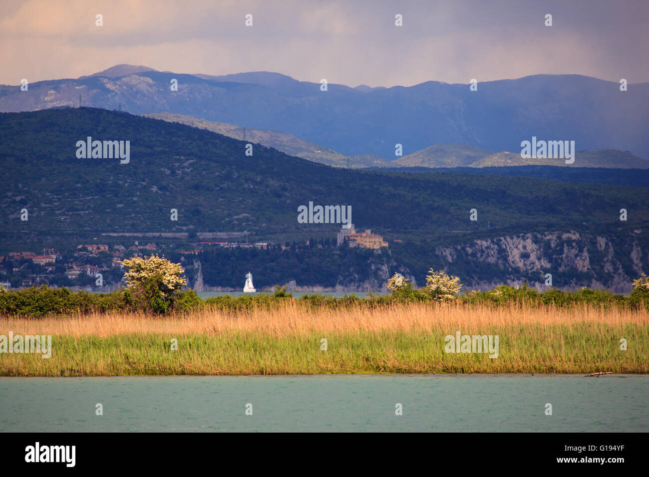 Nature reserve of the Isonzo river mouth Stock Photo - Alamy