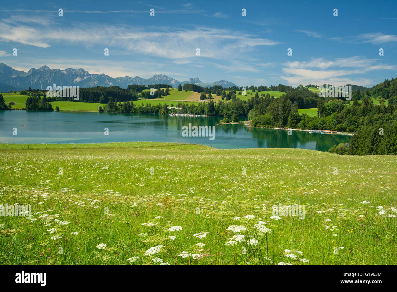 Nothern part of Lake Forggensee in Bavaria - Germany Stock Photo - Alamy