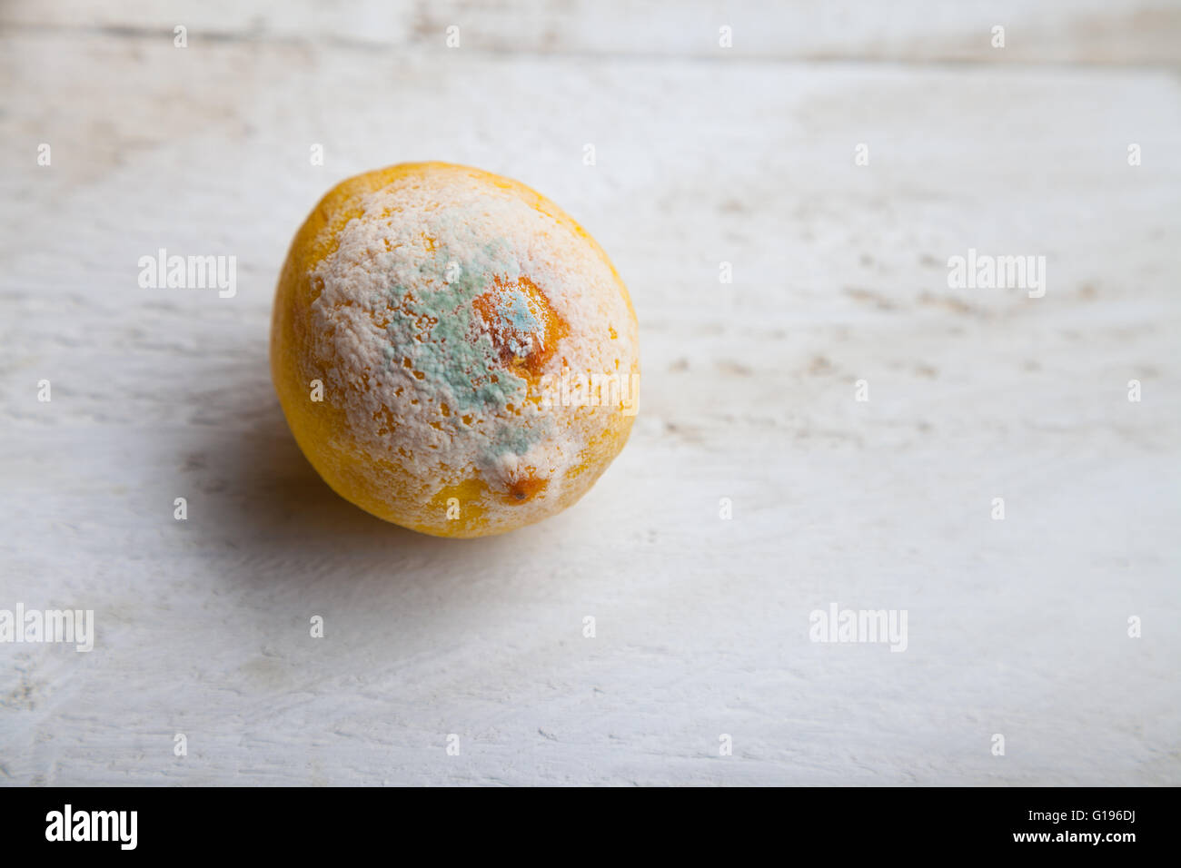 A lemon which has gone mouldy Stock Photo - Alamy