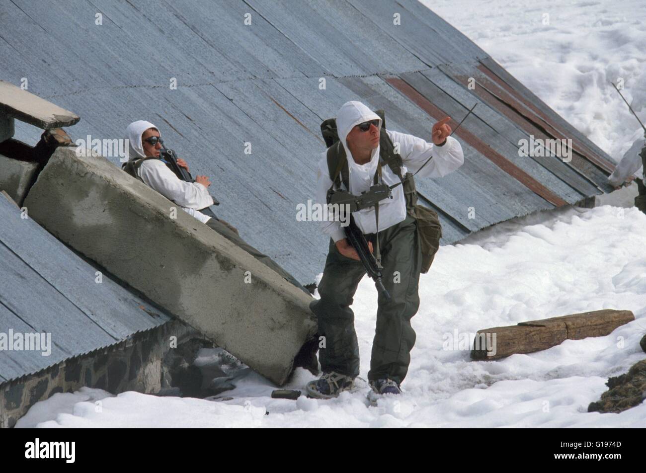 French army, mountain troops "Hunters of the Alps" during military ...