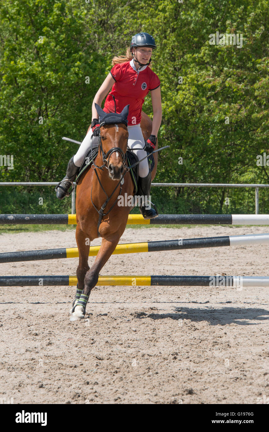 Horse jumping obstacle - showjumping Stock Photo - Alamy